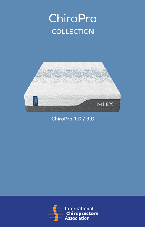 Mattress Depot - MLily Chiro Pro 1.0 Hybrid